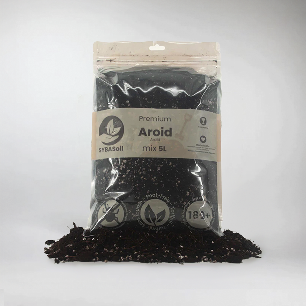 Aroid Mix 5L – Bloombox Club Ireland