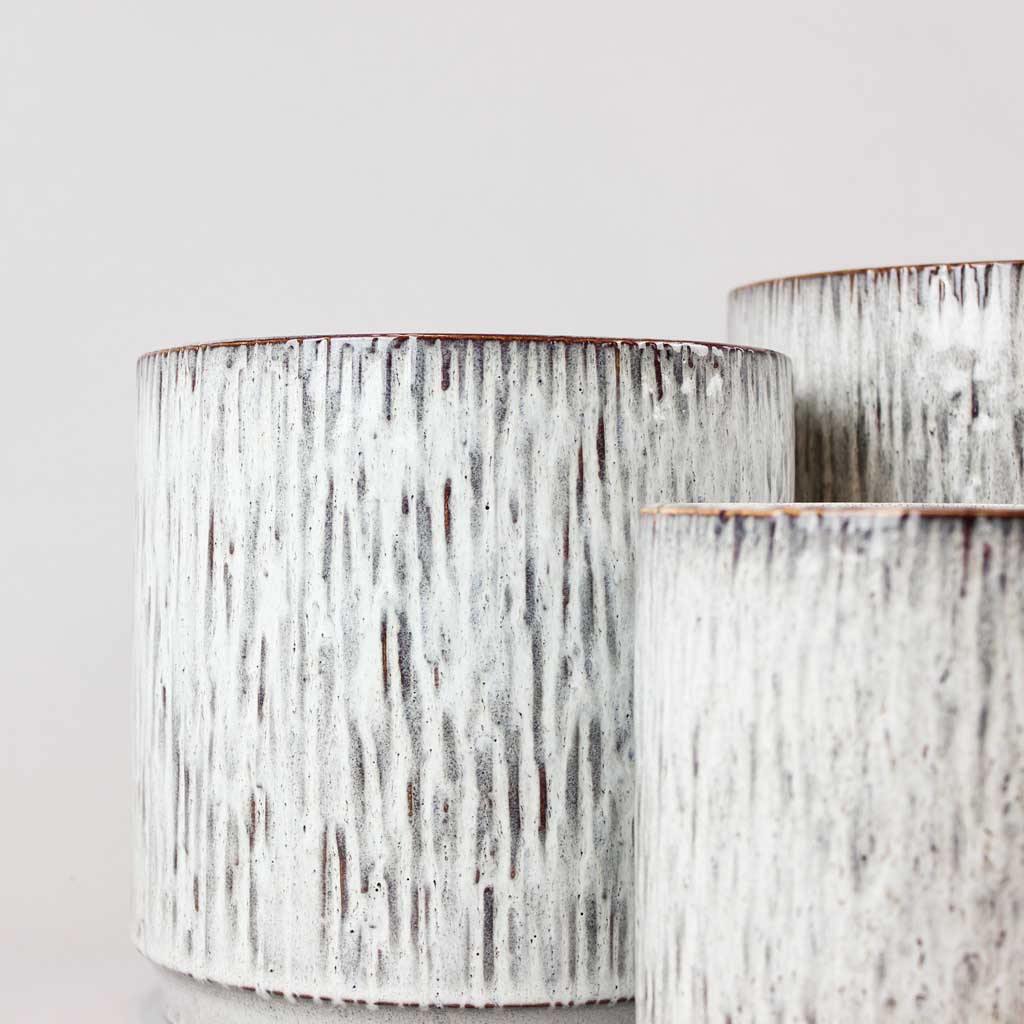 Birch Pot: Chic Minimalist Ceramic Pots for Indoor Plants – Bloombox ...