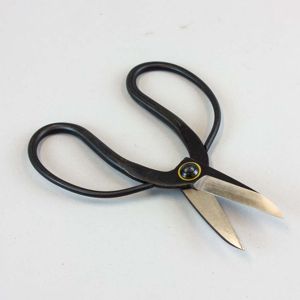 Garden Scissors: Precision Trimming for Thriving Plants – Bloombox Club ...